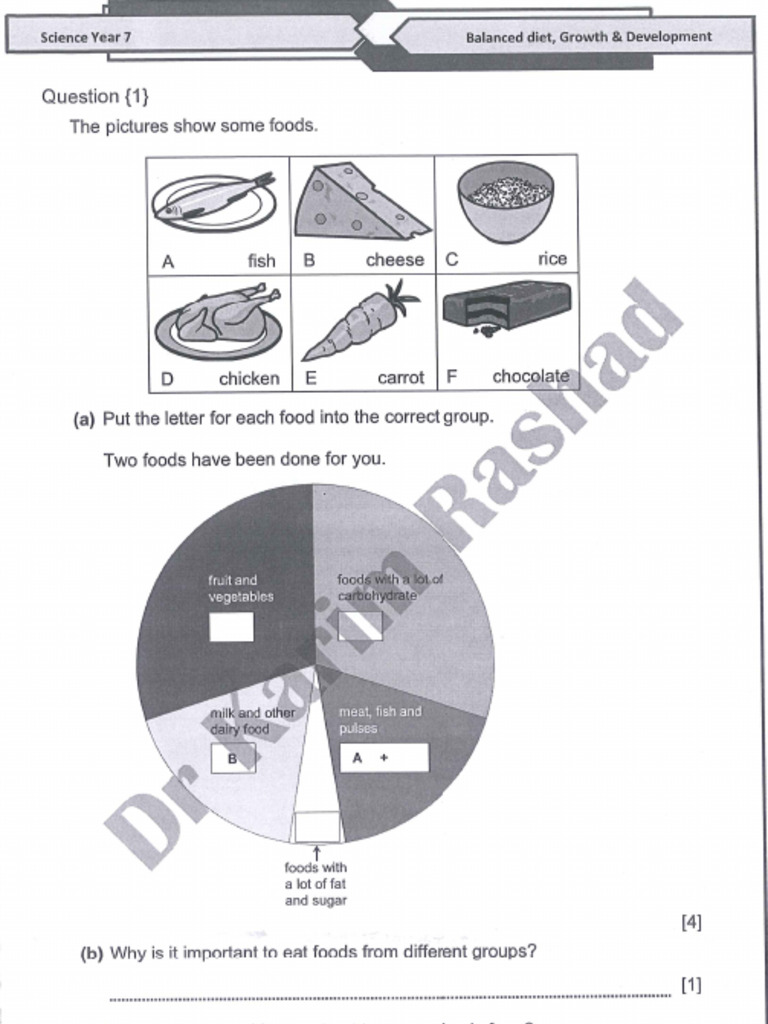8A Questions and Answers | PDF