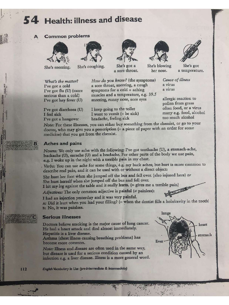 Health Exercises | PDF
