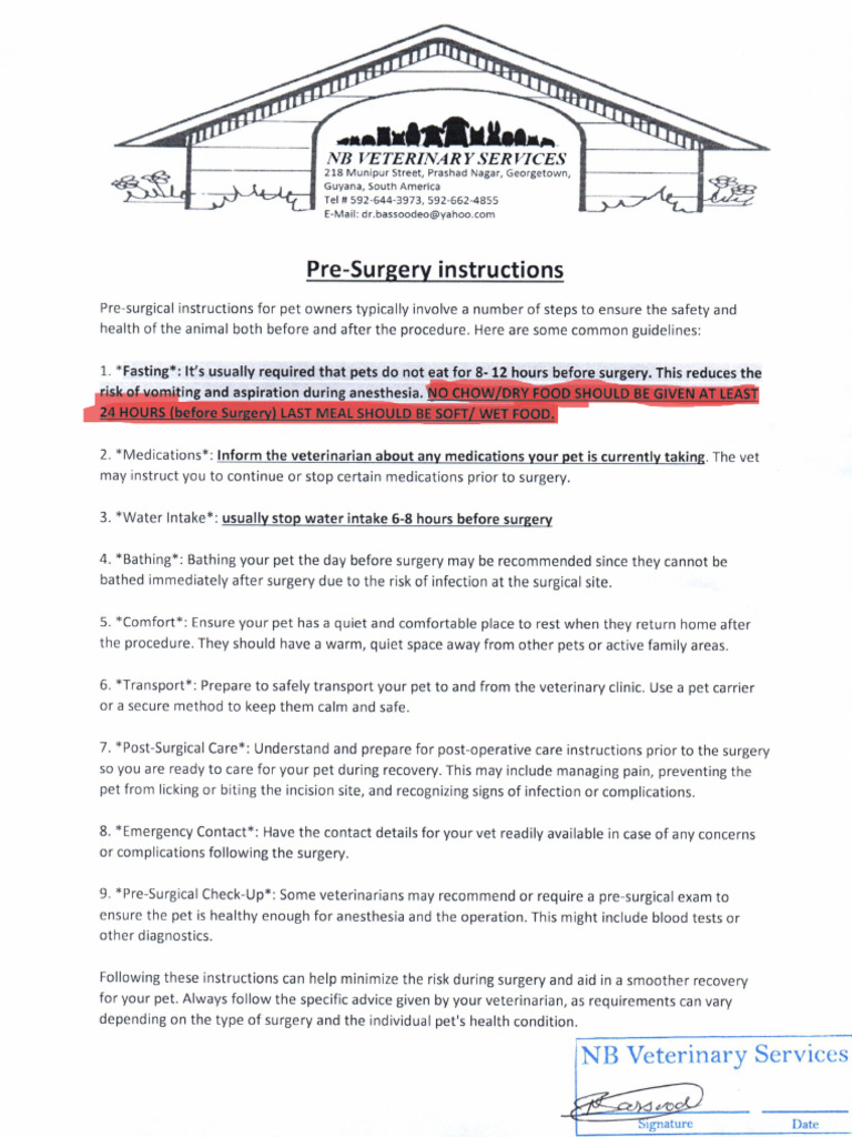 Updated Pre Surgery | PDF