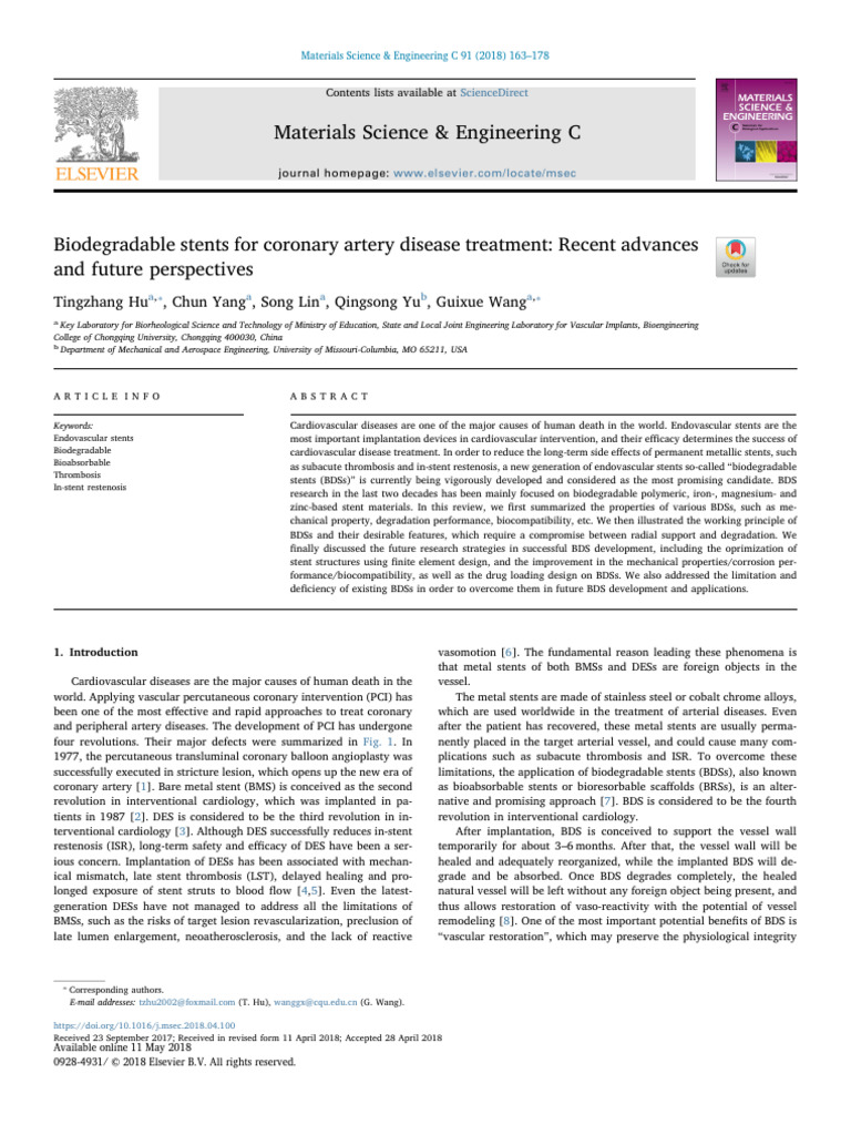 Biodegradable Stents For Coronary Artery Disease Treatment Recent ...