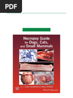 Necropsy Report | PDF | Stomach | Autopsy