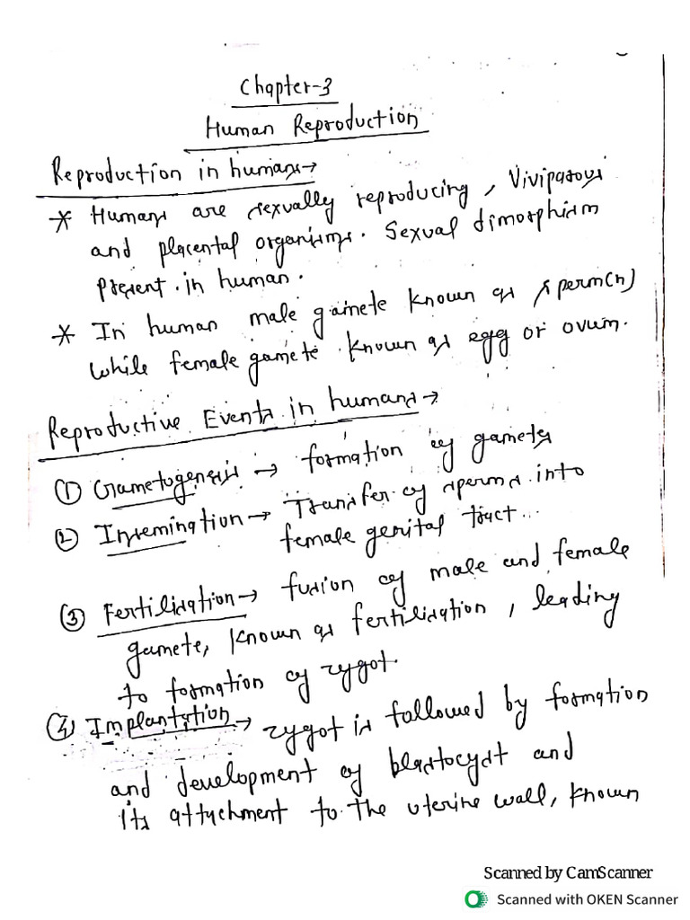 Human Reproduction Notes | PDF
