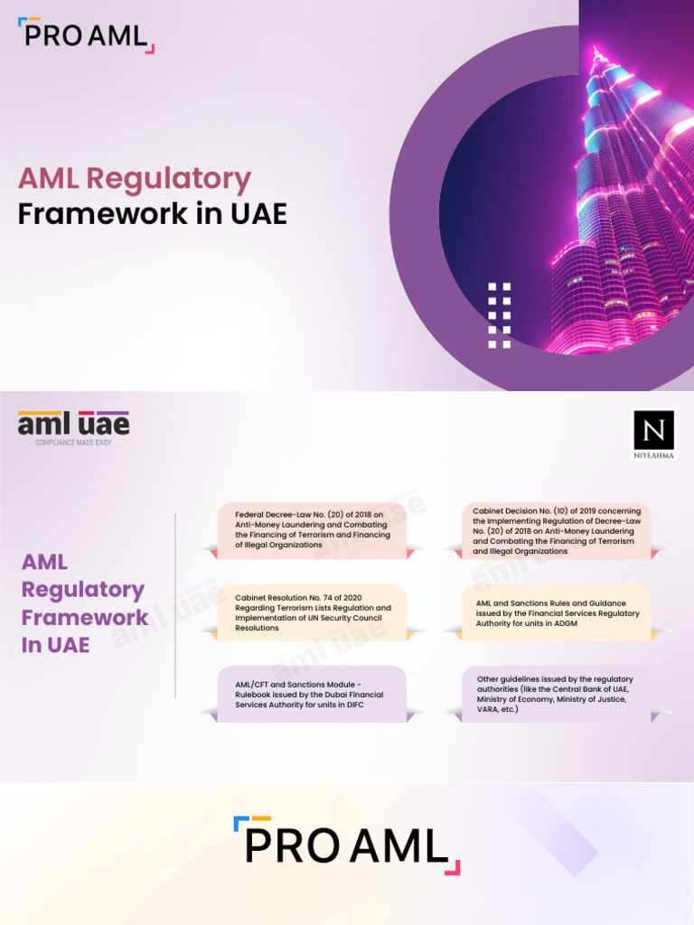 UAE AML Regulatory Framework Overview | PDF