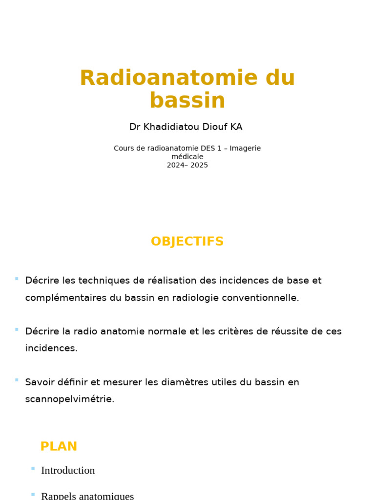 Radioanatomie du Bassin en Imagerie | PDF | Tomodensitométrie ...