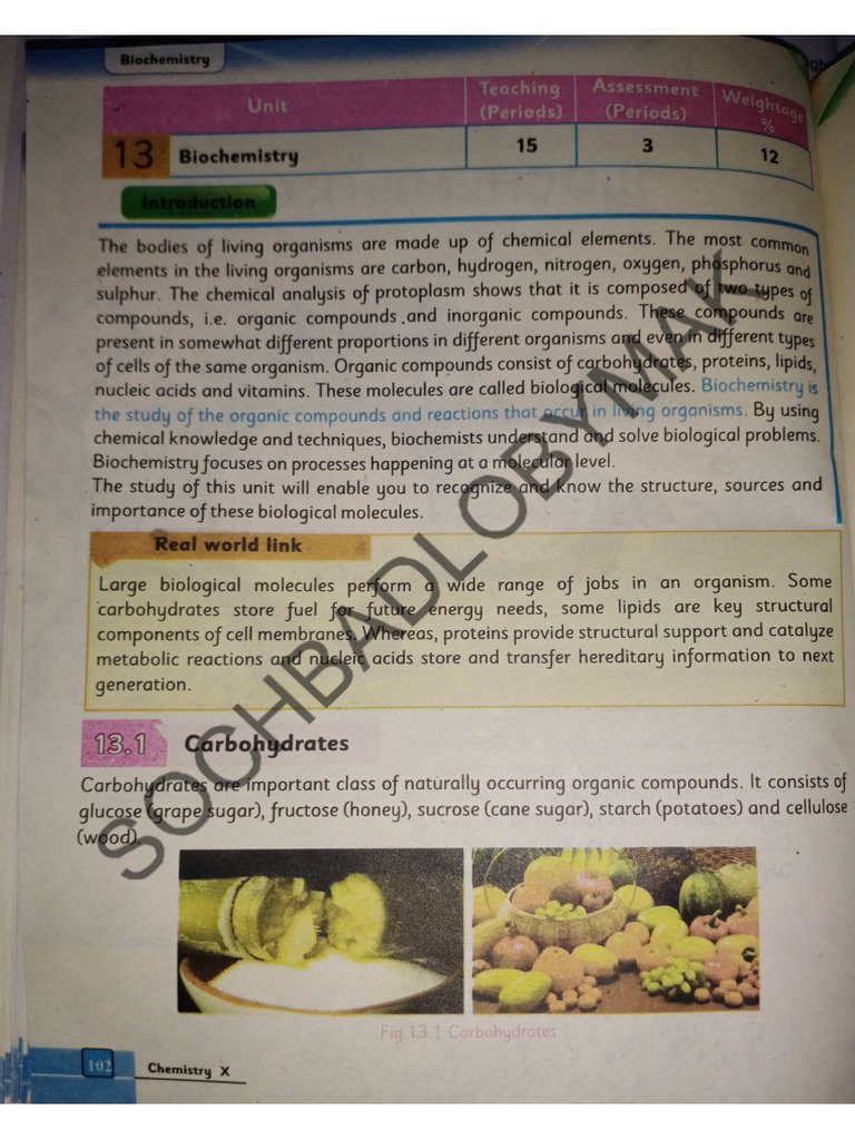 Chapter 13 Biochemistry - Watermark | PDF