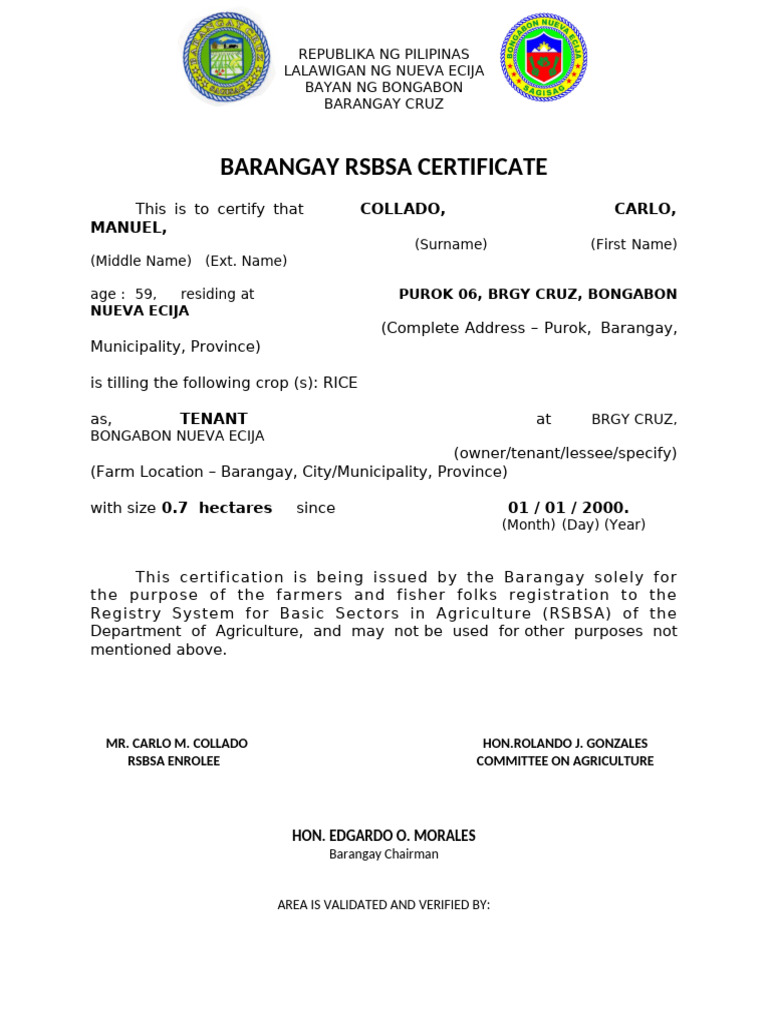 Barangay Rsbsa Certificate | PDF
