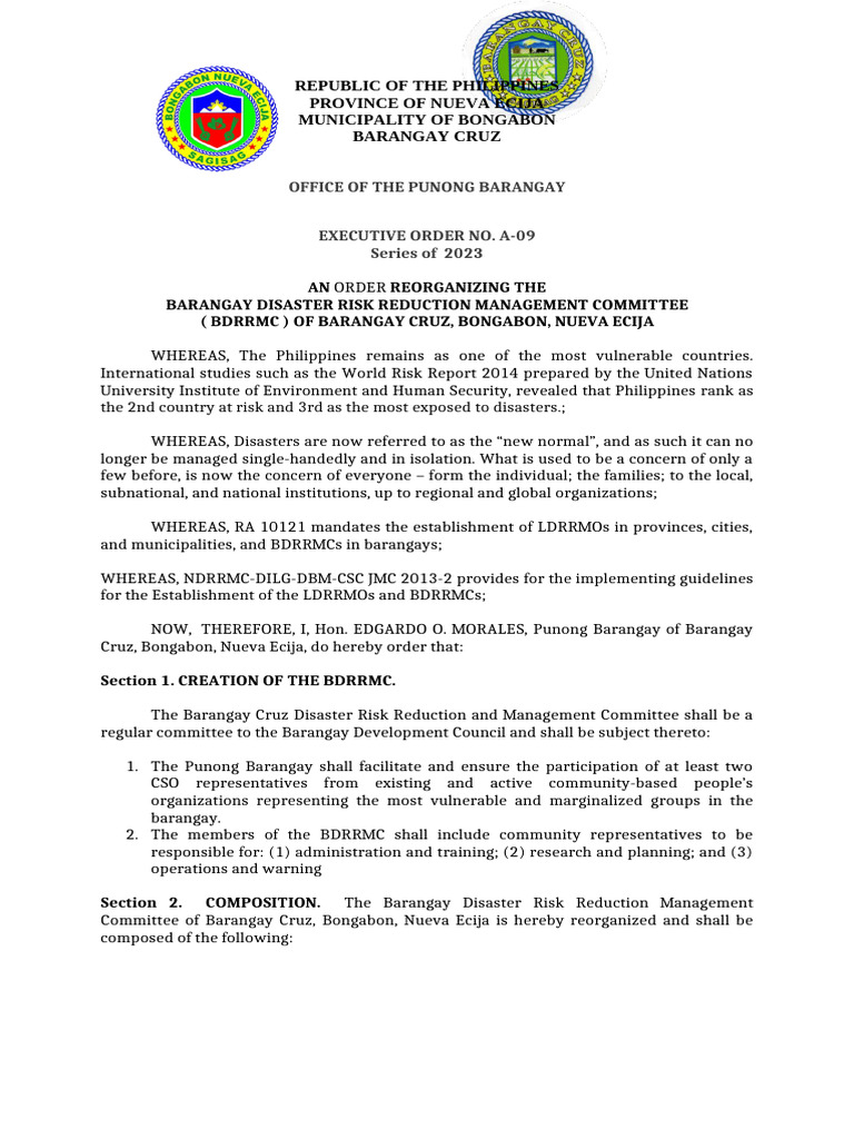 7 - Barangaycruz Bdrrm-Council | PDF | Emergency | Emergency Management