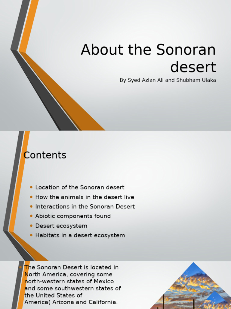 About The Sonoran Desert | PDF | Desert | Ecosystem