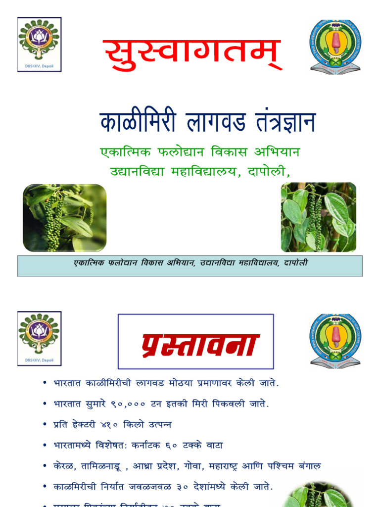 Kalimiri Lagwad | PDF