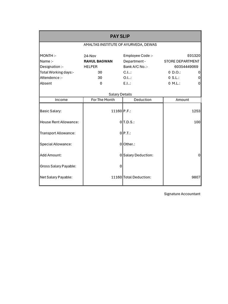 November Salary Slip for Employee | PDF