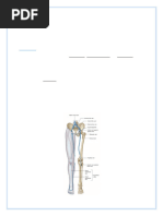 DVT Physical Assessment Guidelines | PDF | Edema | Vein