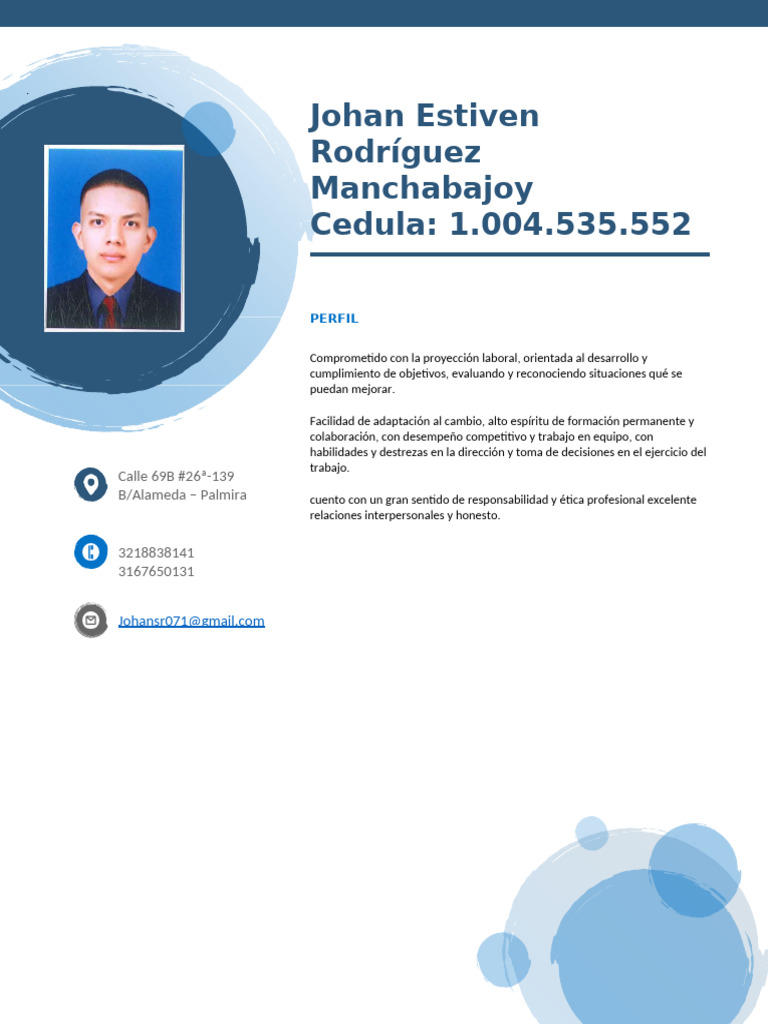 HOJA DE VIDA JR 99 | PDF