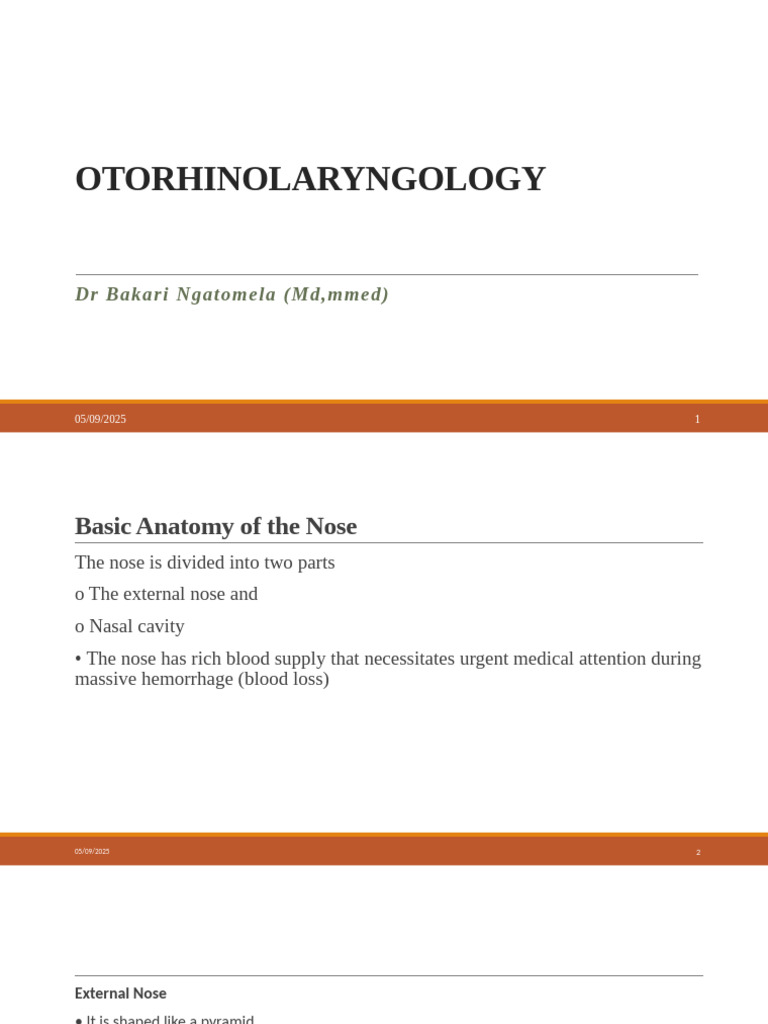 Nose | PDF
