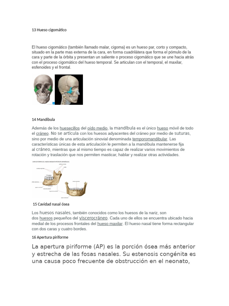 Anatomía del Hueso Cigomático | PDF