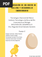 Desarrollo del Embrión de Pollo | PDF | Anatomía | Reproducción