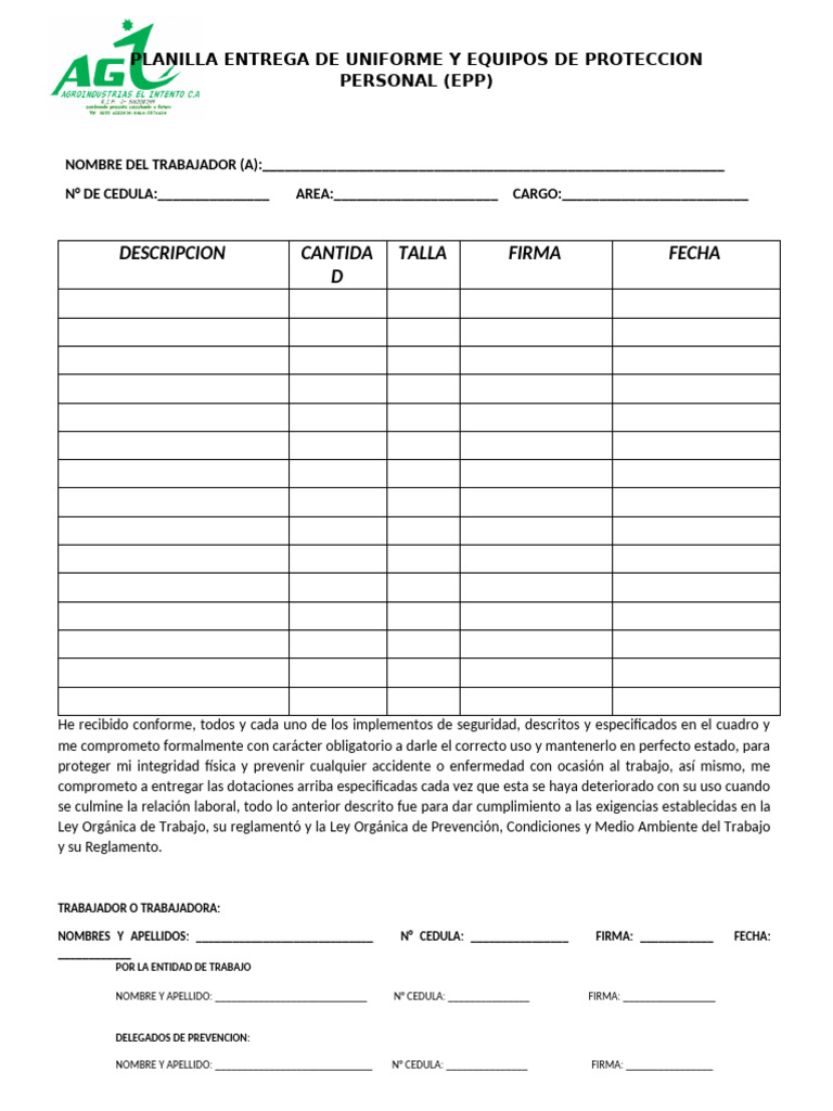 Formato de Epp | PDF