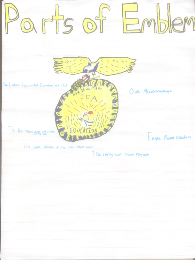 FFA Basics Posters (Aug 20, 2024 at 9:11 AM) | PDF