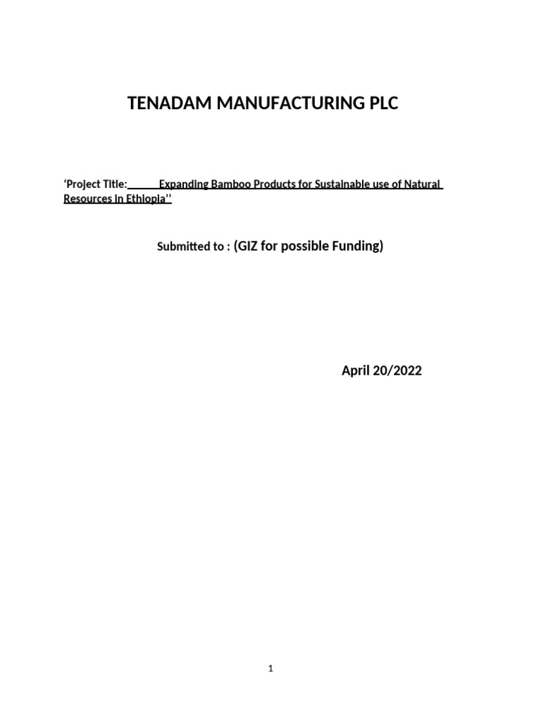 GIZ Project Proposal Draft | PDF | Ethiopia | Sustainability