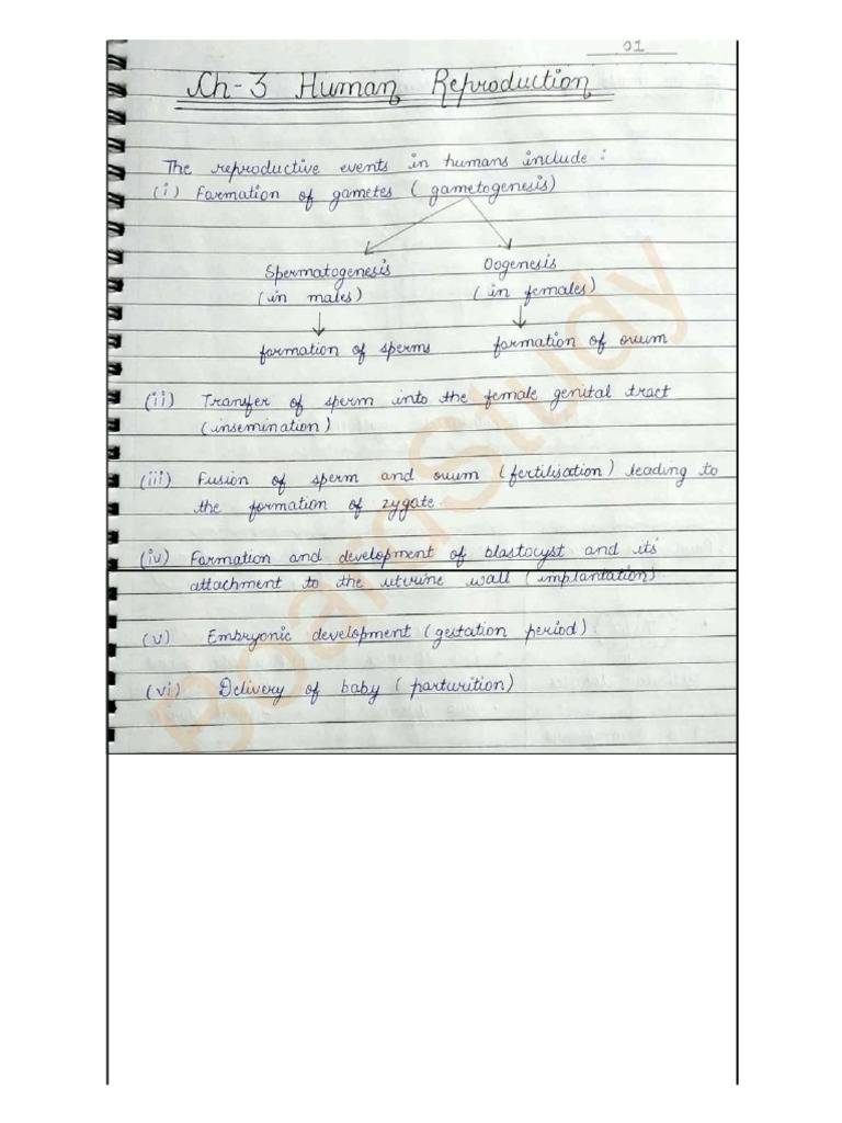 Bio HR | PDF