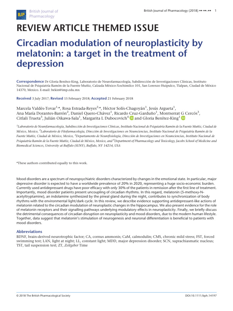 Circadian Modulation of Neuroplasticity by Melatonin - A Target in The ...