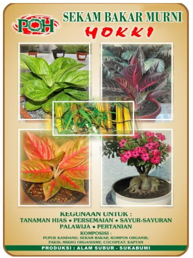 PAMPLET TANAMAN2 | PDF