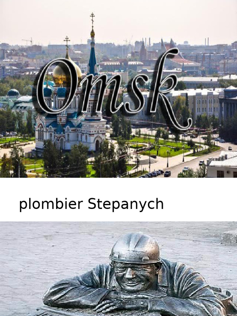 Presentación-WPS Office | PDF