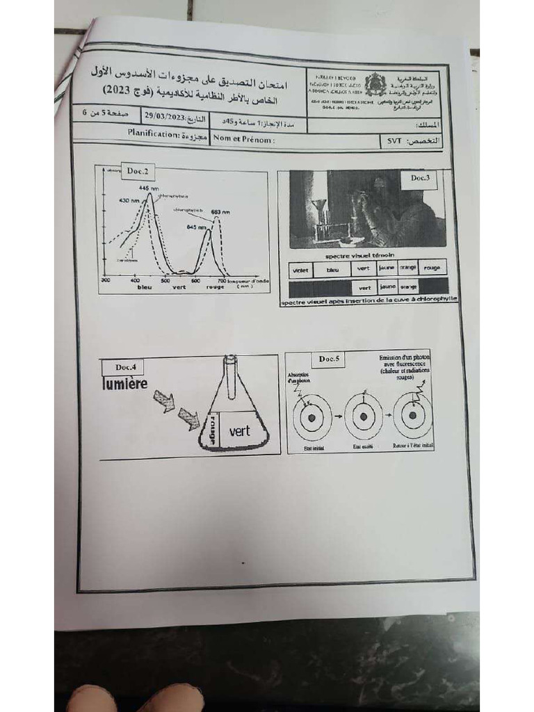 Plan If Ication | PDF