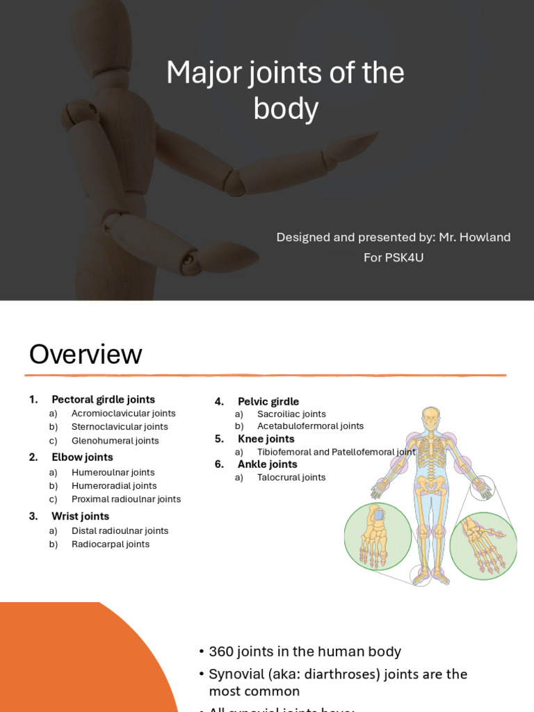 Unit 2 Lesson 6 Major Joints (Student) | PDF | Knee | Anatomical Terms ...