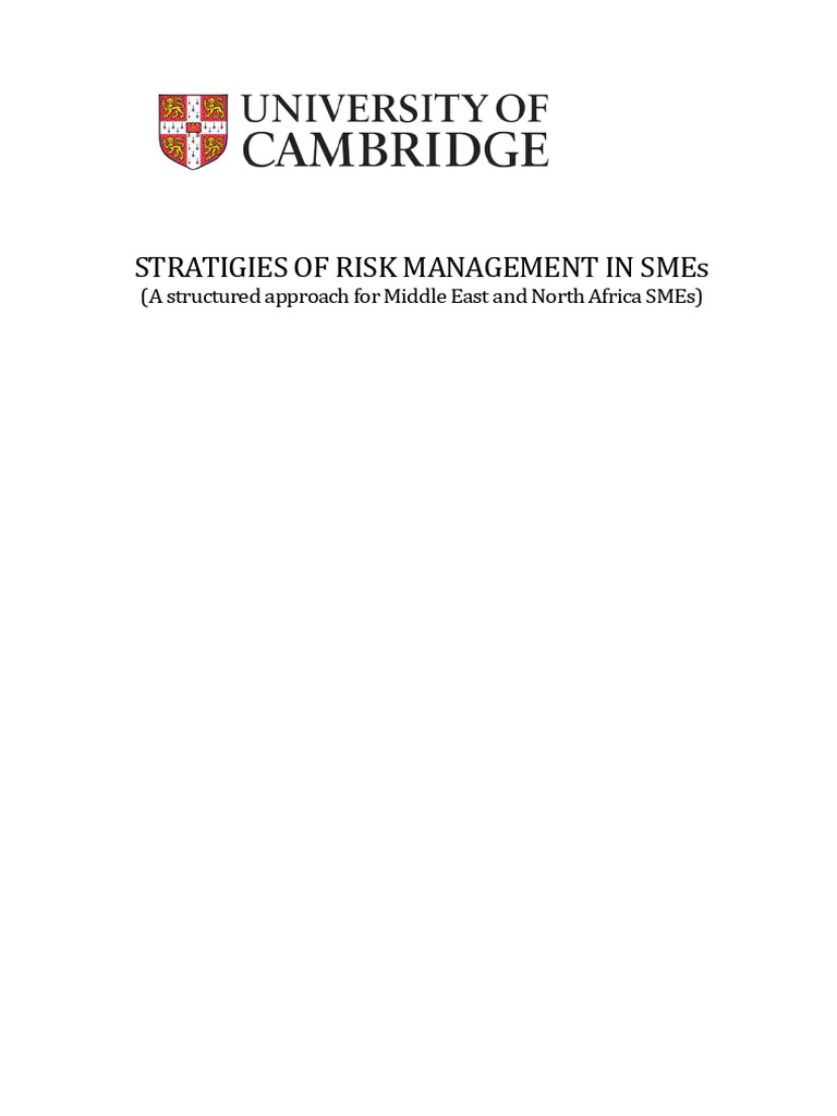 STRAT EGIES OF RISK MANAGEMENT IN SMEs - Dr. Mohamed Lashin | PDF