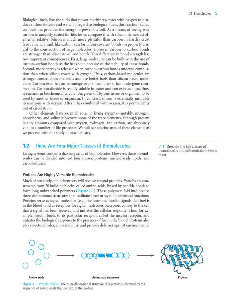 Unit 1 Biochemistry - 4 Macromolecules | PDF | Nucleotides | Nucleic Acids