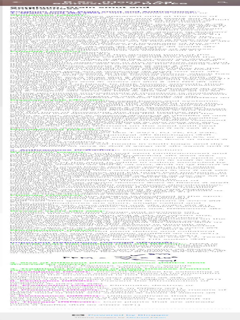 Sorghum Grain Smut and Anthracnose | PDF