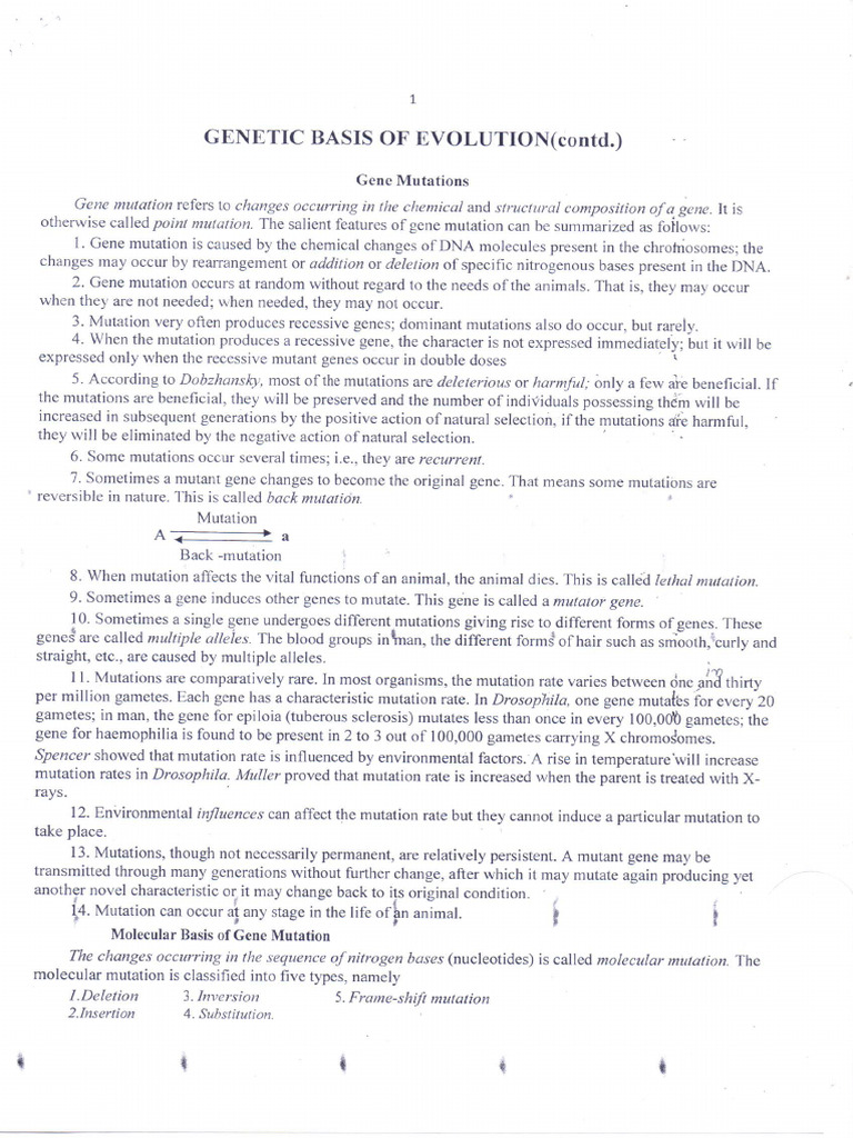 Bb340-Genetic Basis of Evolution | PDF