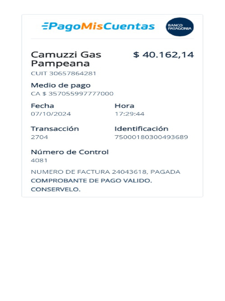 Camuzzi Gas Pampeana - 4081 | PDF