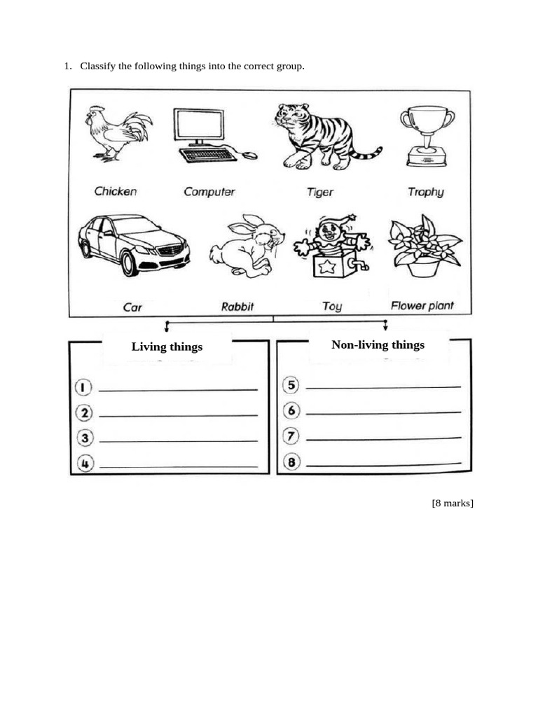 Classify Animals | PDF