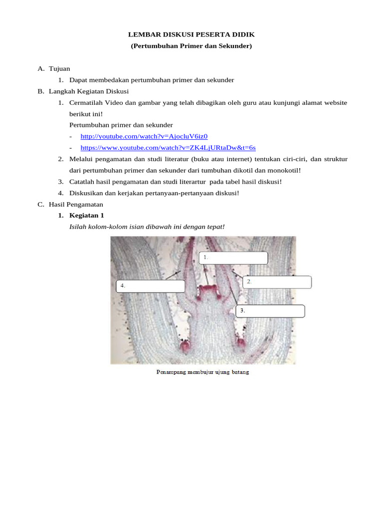 LKPD Pertumb Primer, Sekunder | PDF