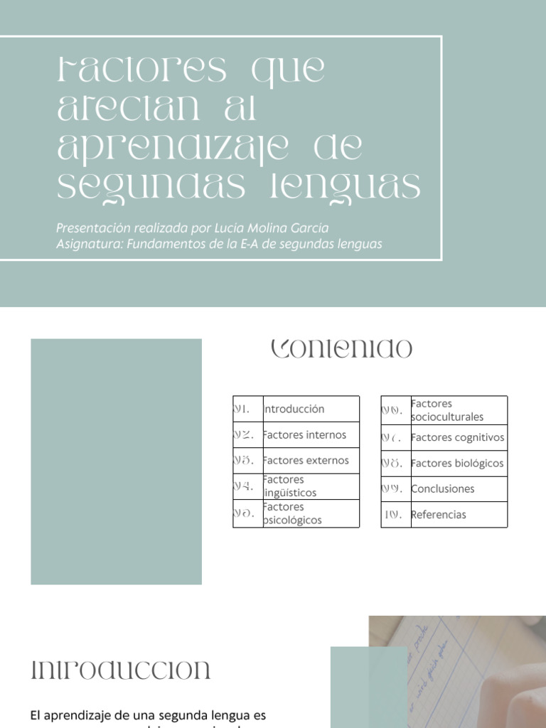 Actividad 1-Factores Que Afectan Al Aprendizaje de Segundas Lenguas | PDF