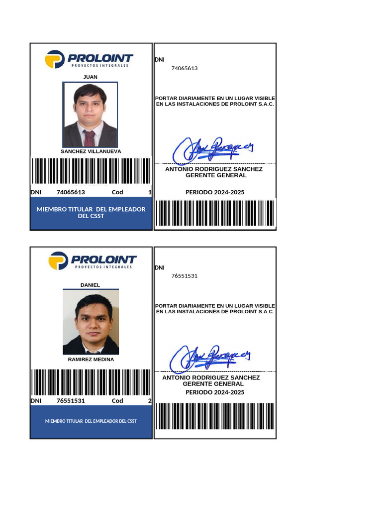 Miembros del CSST en Proloint S.A.C. | PDF