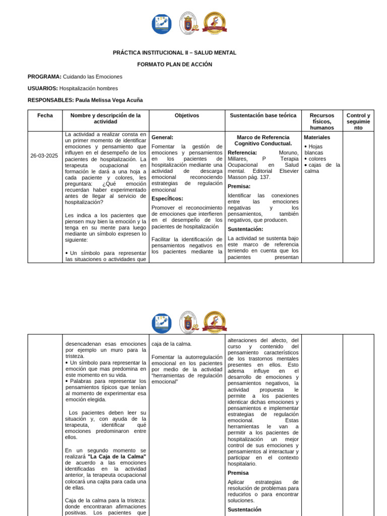Plan de Acción 2 | PDF | Las emociones | Pensamiento