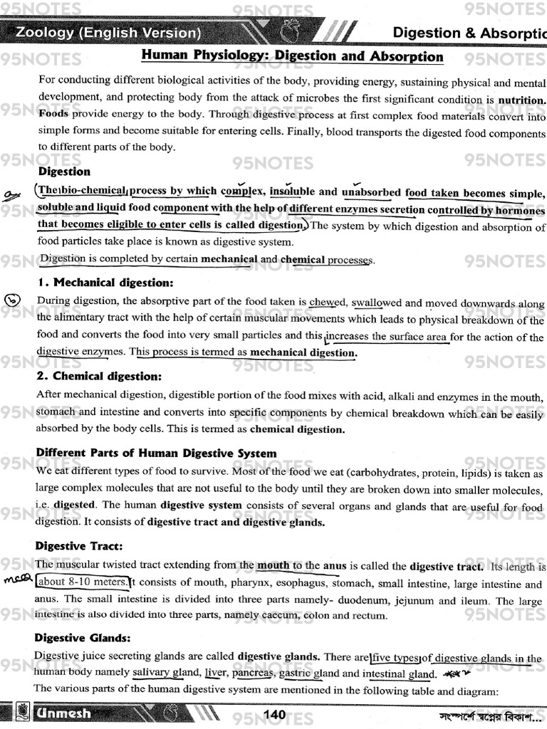 Digestion Azmal English-Version | PDF