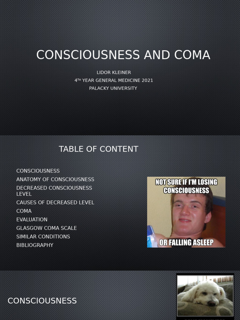Lidor Kleiner Consciousness and Coma V.2 Pathophysiology | PDF | Coma ...