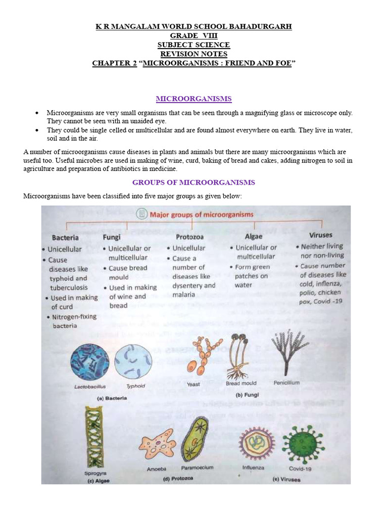 Microorganisms: Friends and Foes in Science | PDF | Food Preservation ...