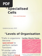 Specialised Animal Cells - Living Organisms - KS3 Biology - BBC ...