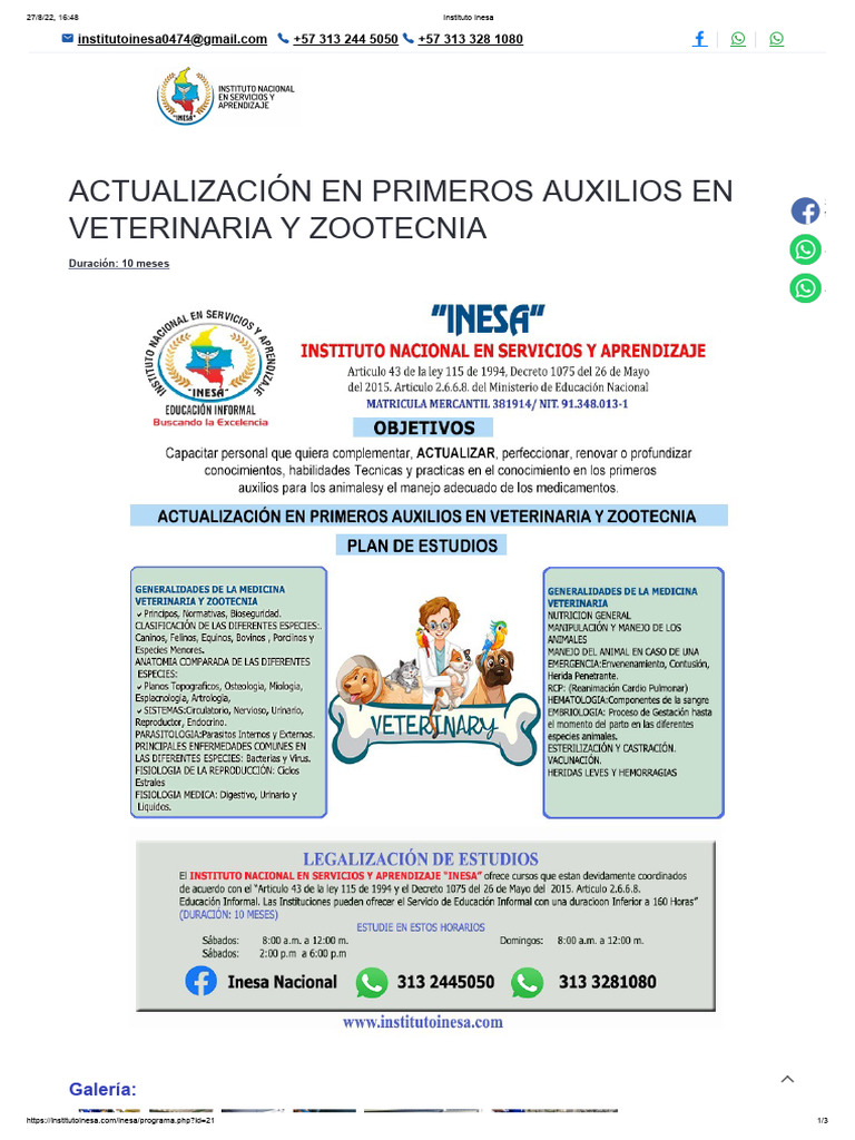 Instituto Inesa | PDF | Informática