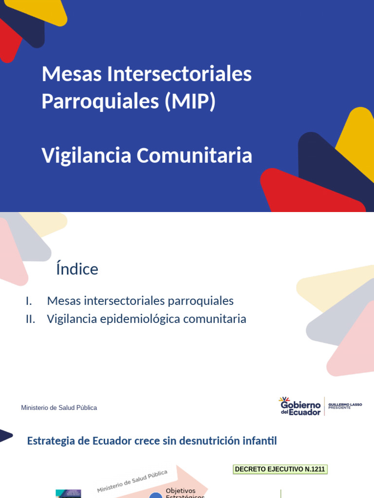 Presentación Talleres Capacitación MIP y Vec FC | PDF | Planificación | Salud pública