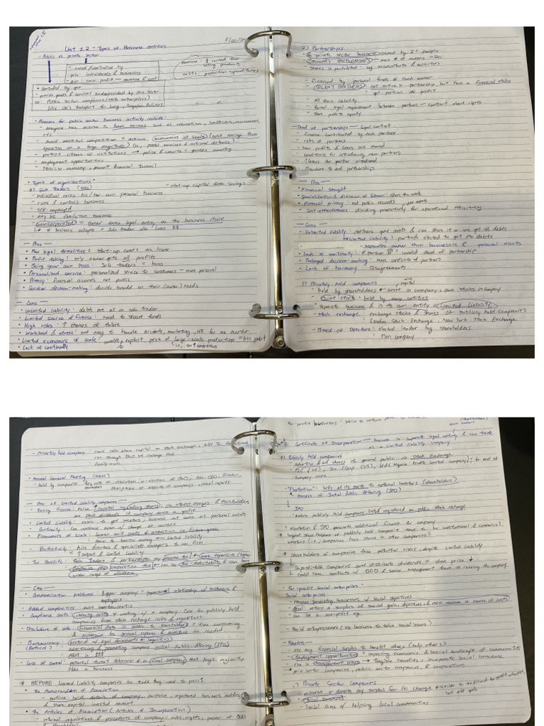 IB Business Management 1.2 Types of Business Entities Notes | PDF