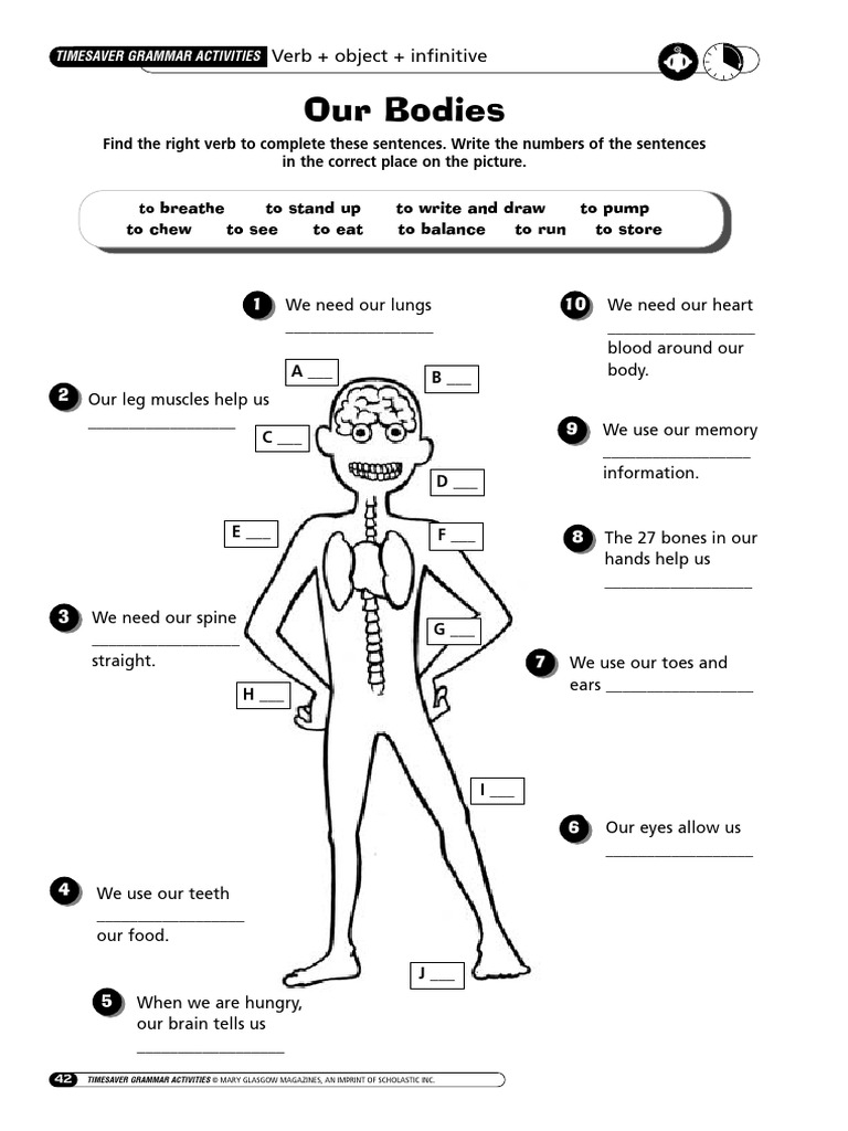 Body Functions Verb Activities | PDF | Linguistic Morphology | Linguistics