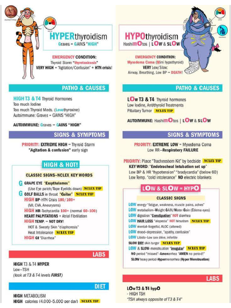 Hyperthyroidism and Hypothyroidism | PDF