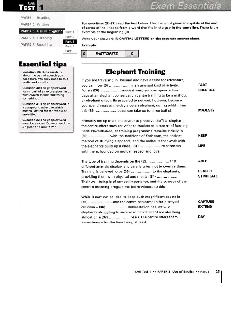 C1 - CENGAGE Old - Part 3 | PDF
