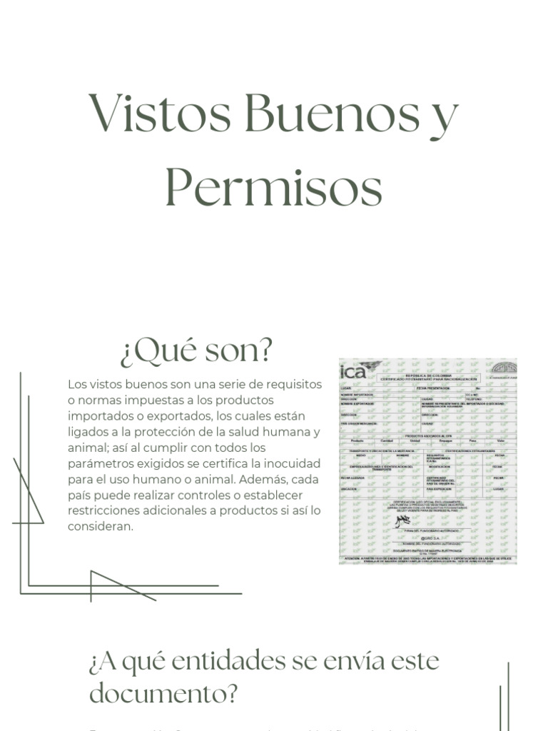 Vistos Buenos y Permisos PDF | PDF
