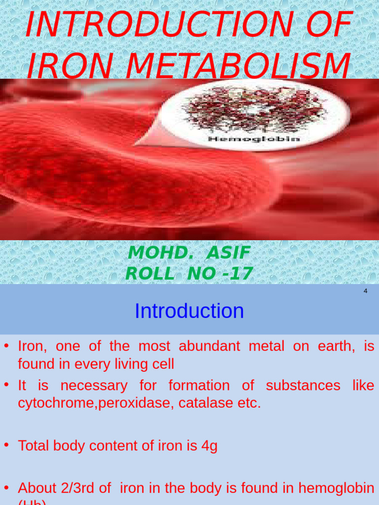 Iron Metabolism INTRO | PDF | Iron